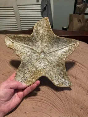 Accents | Glazed Ceramic Starfish Dish In Speckled Sand And Cream ...